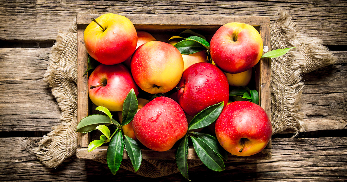 Que faire avec nos pommes ? - Marché des jardiniers